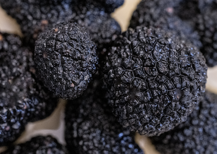 Truffle - Preserved & Dried – L'Aquila